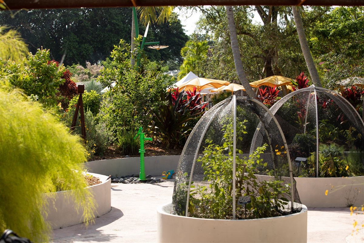 Learning & Sensory Garden Pinecrest Gardens